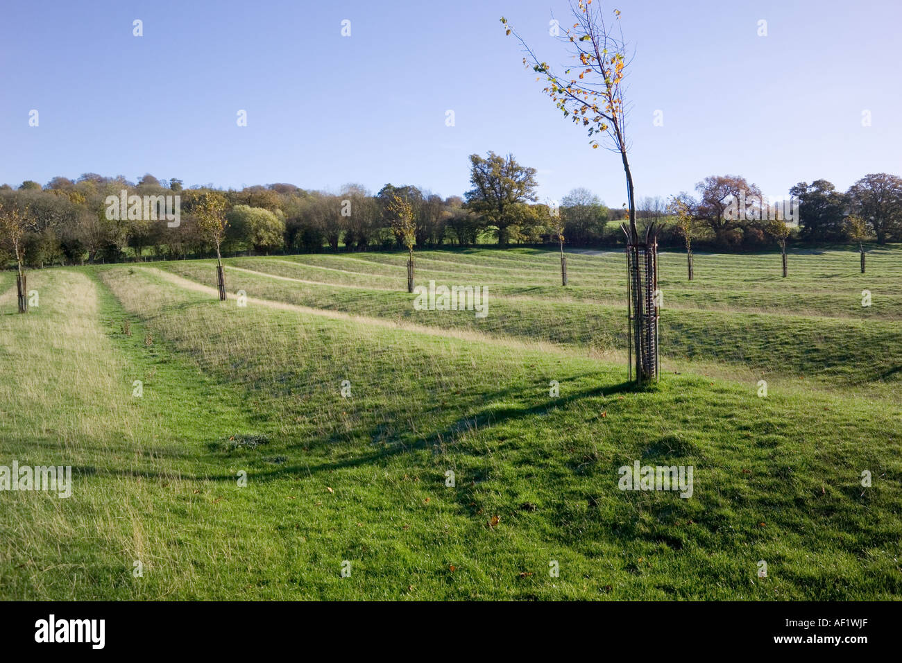 Medieval farming hi-res stock photography and images - Alamy