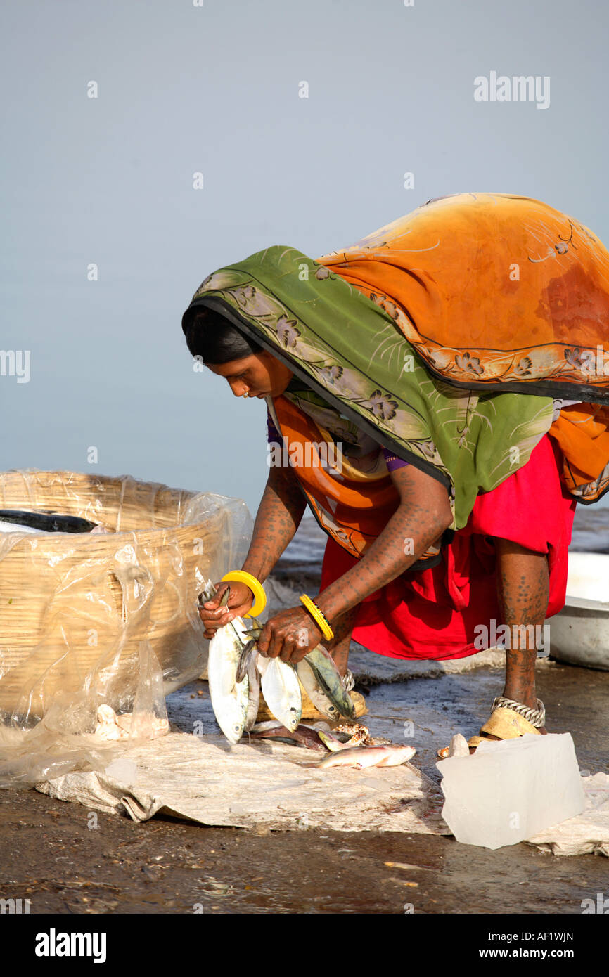 Tribal Indian fisherwoman with arm and leg tattoos packing fish in ice ...