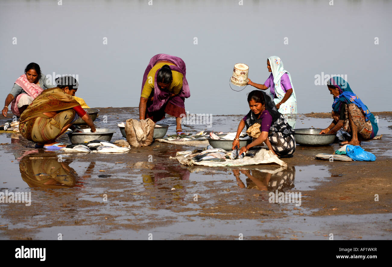 Fisherwomen hi-res stock photography and images - Alamy