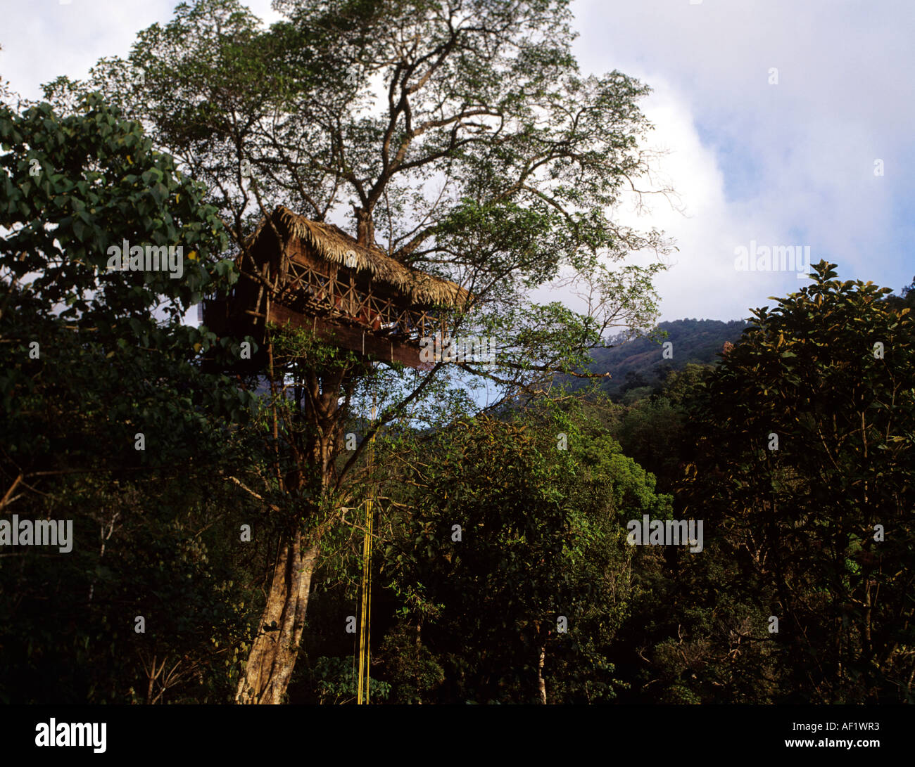 Vythiri tree house hi-res stock photography and images - Alamy