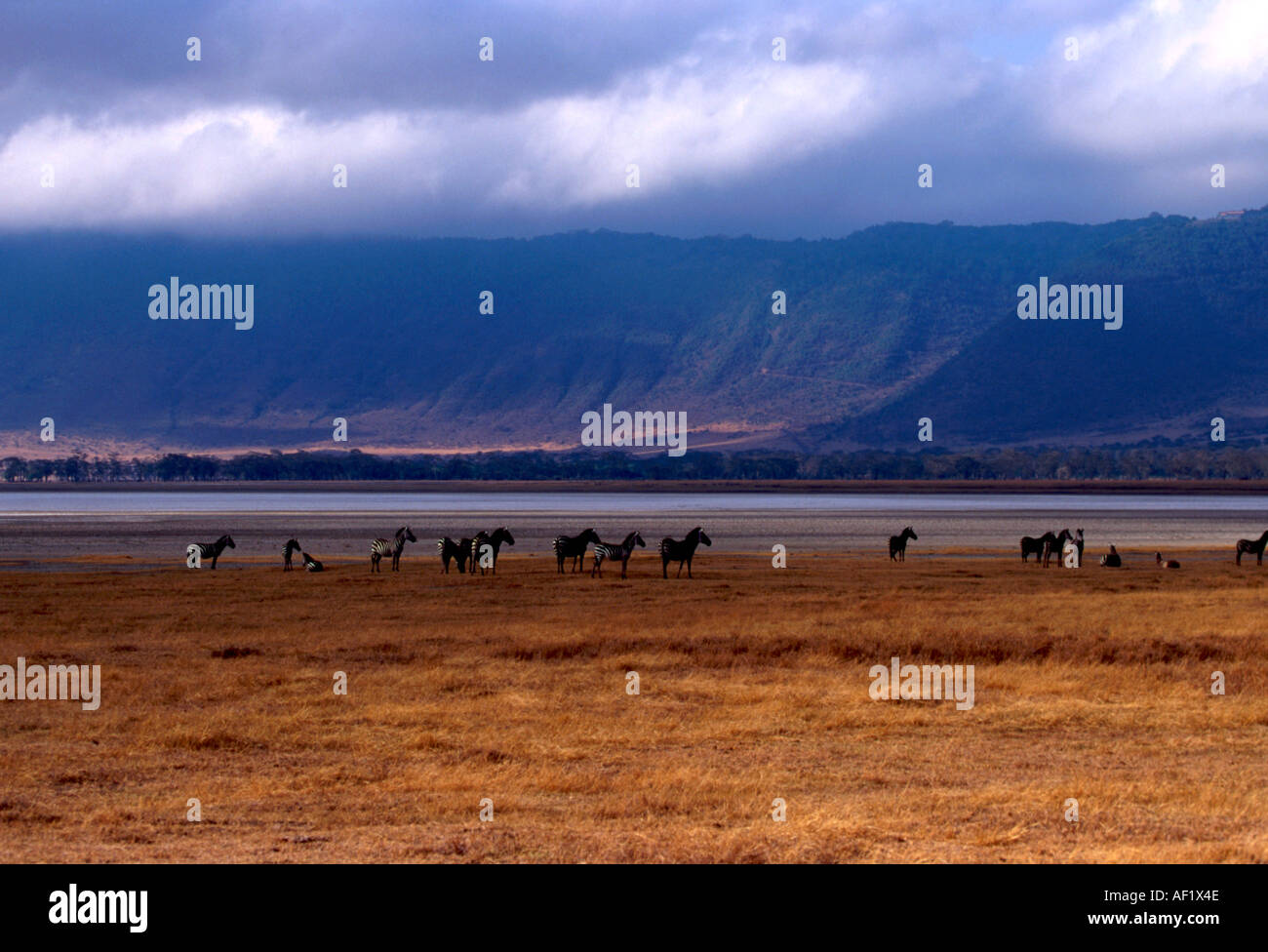 Contrasting bands of colour in the Ngorongoro Crater, Tanzania Stock ...