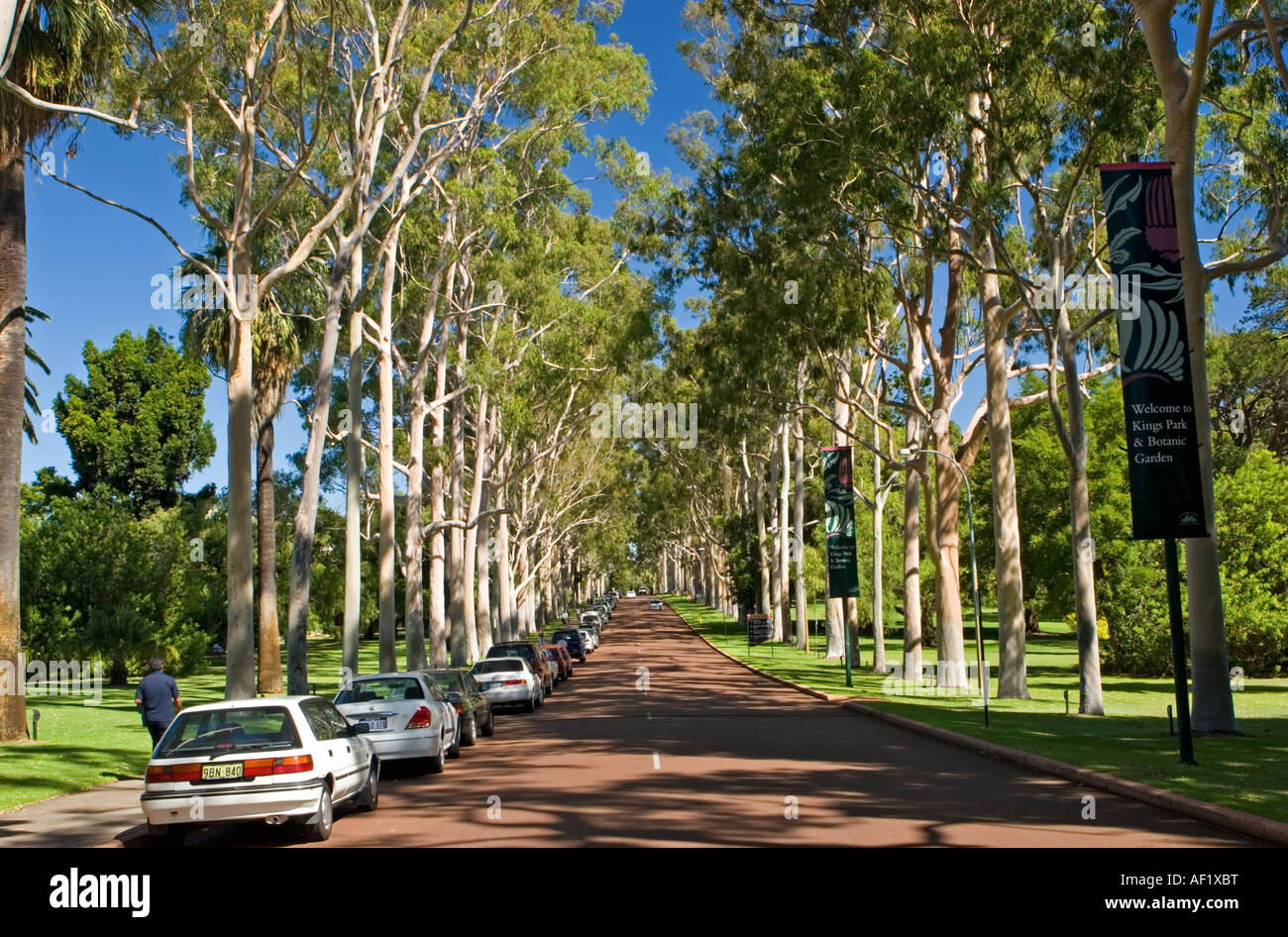 Perth city centre kings park hi-res stock photography and images - Alamy