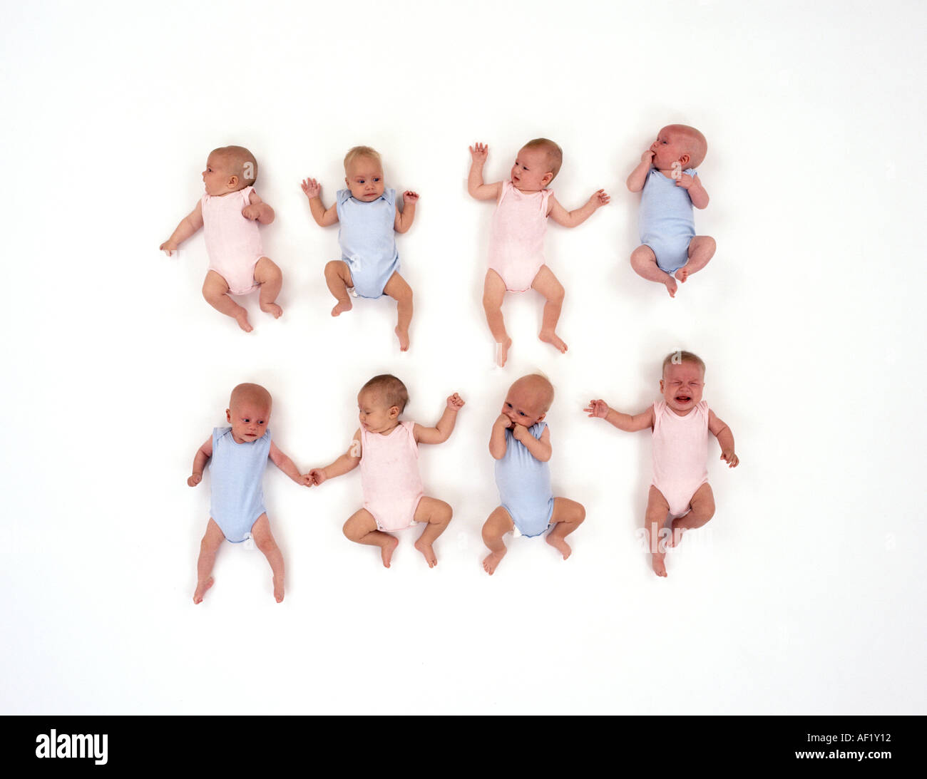 Eight babies in pink and blue Stock Photo - Alamy