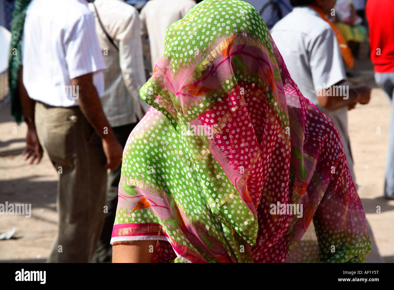 Indian female with head covered celebrating holi spring festival of ...