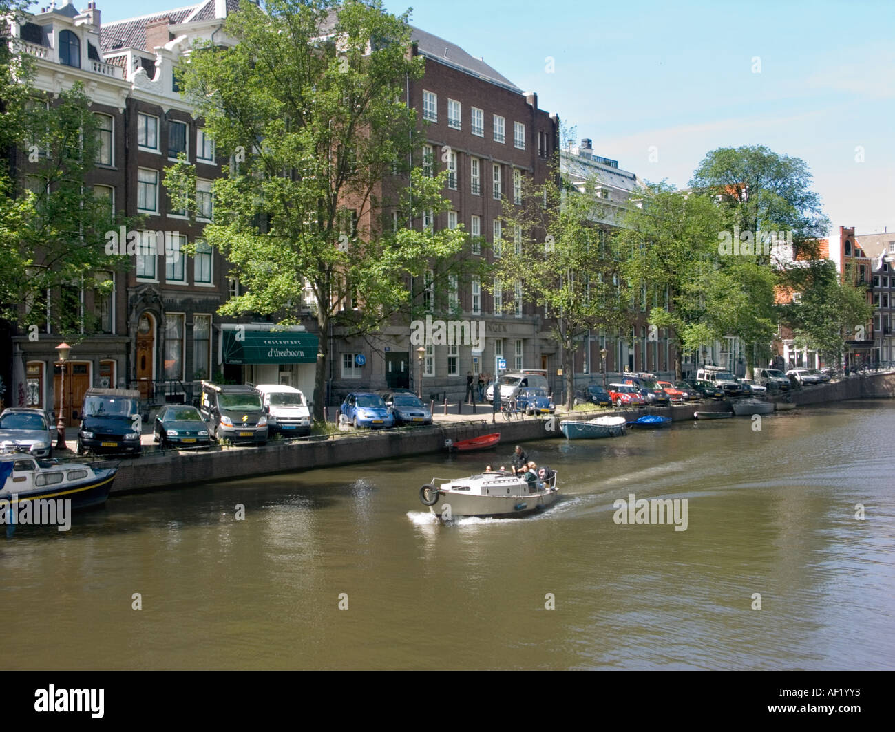 Singel trees hi-res stock photography and images - Alamy