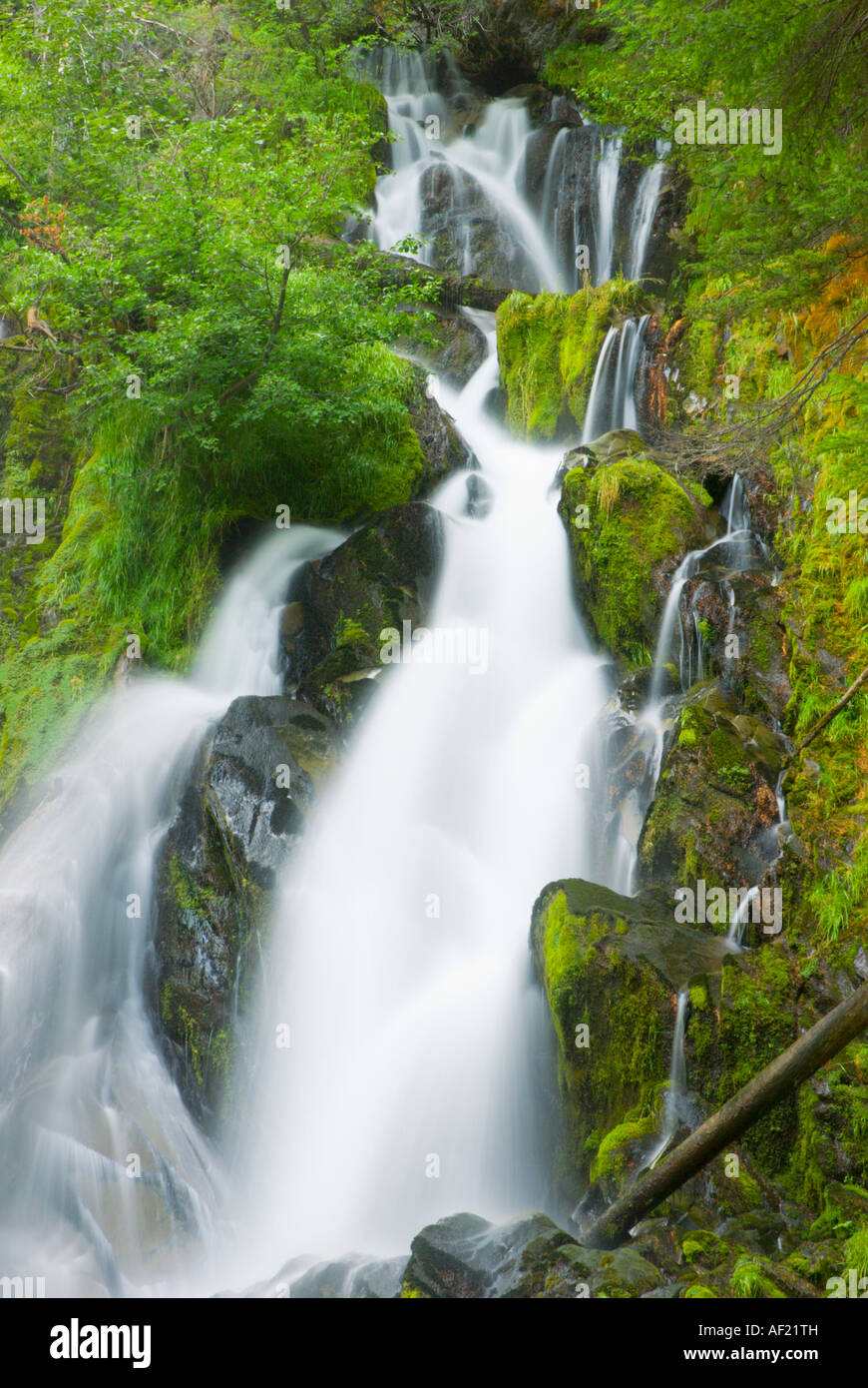 National Falls Rogue River National Forest Oregon Stock Photo - Alamy