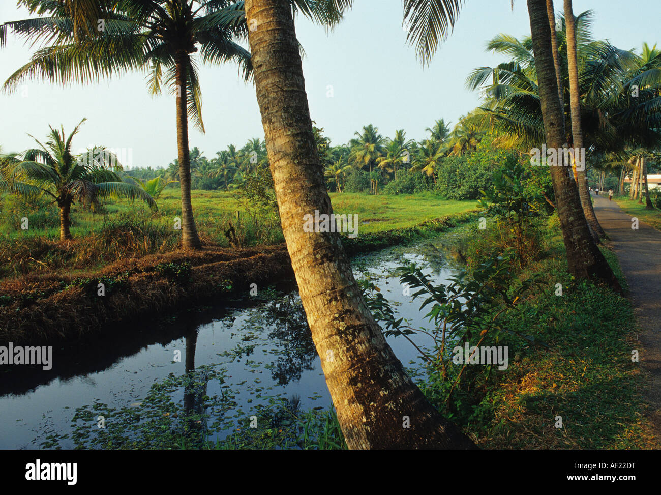 kerala backwaters south india Stock Photo - Alamy