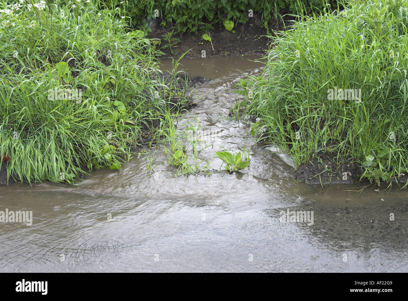 Rainwater gully hi-res stock photography and images - Alamy