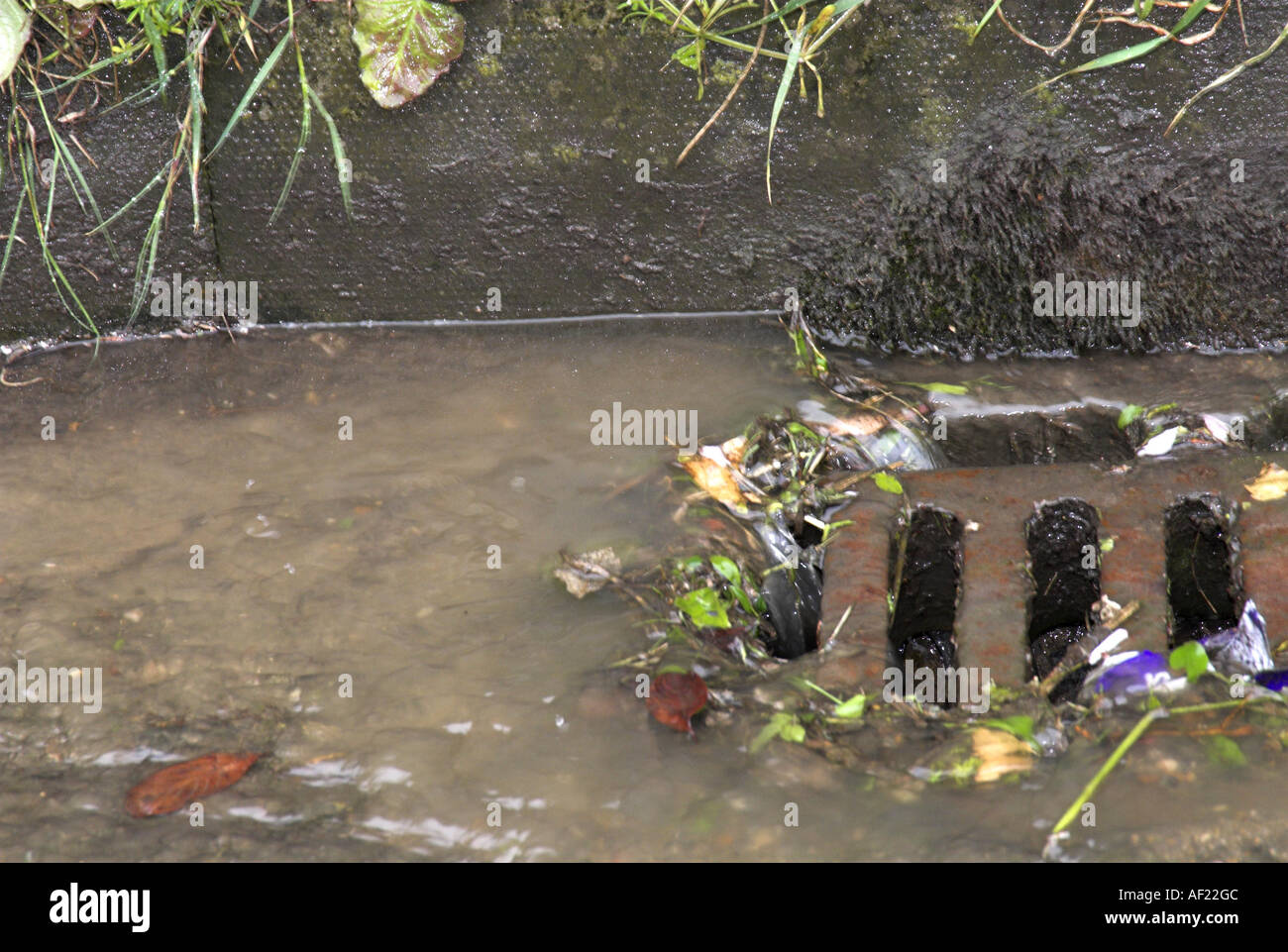 Rainwater running off road hi-res stock photography and images - Alamy