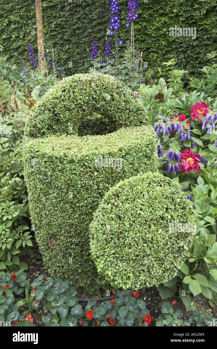 Box topiary in the shape of a watering can Norfolk UK June Stock Photo ...