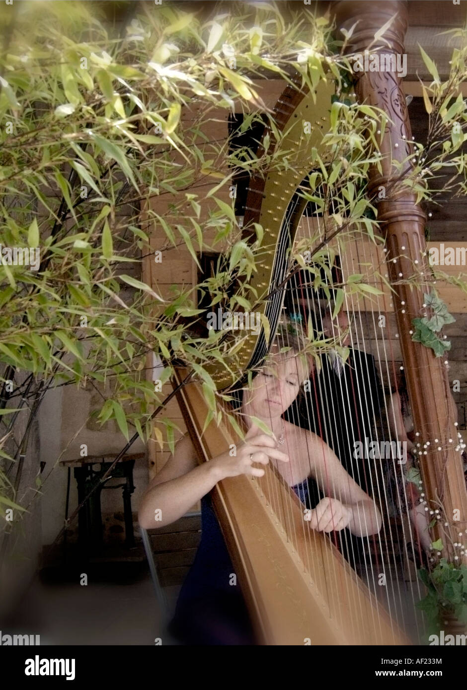 woman playing harp Stock Photo - Alamy