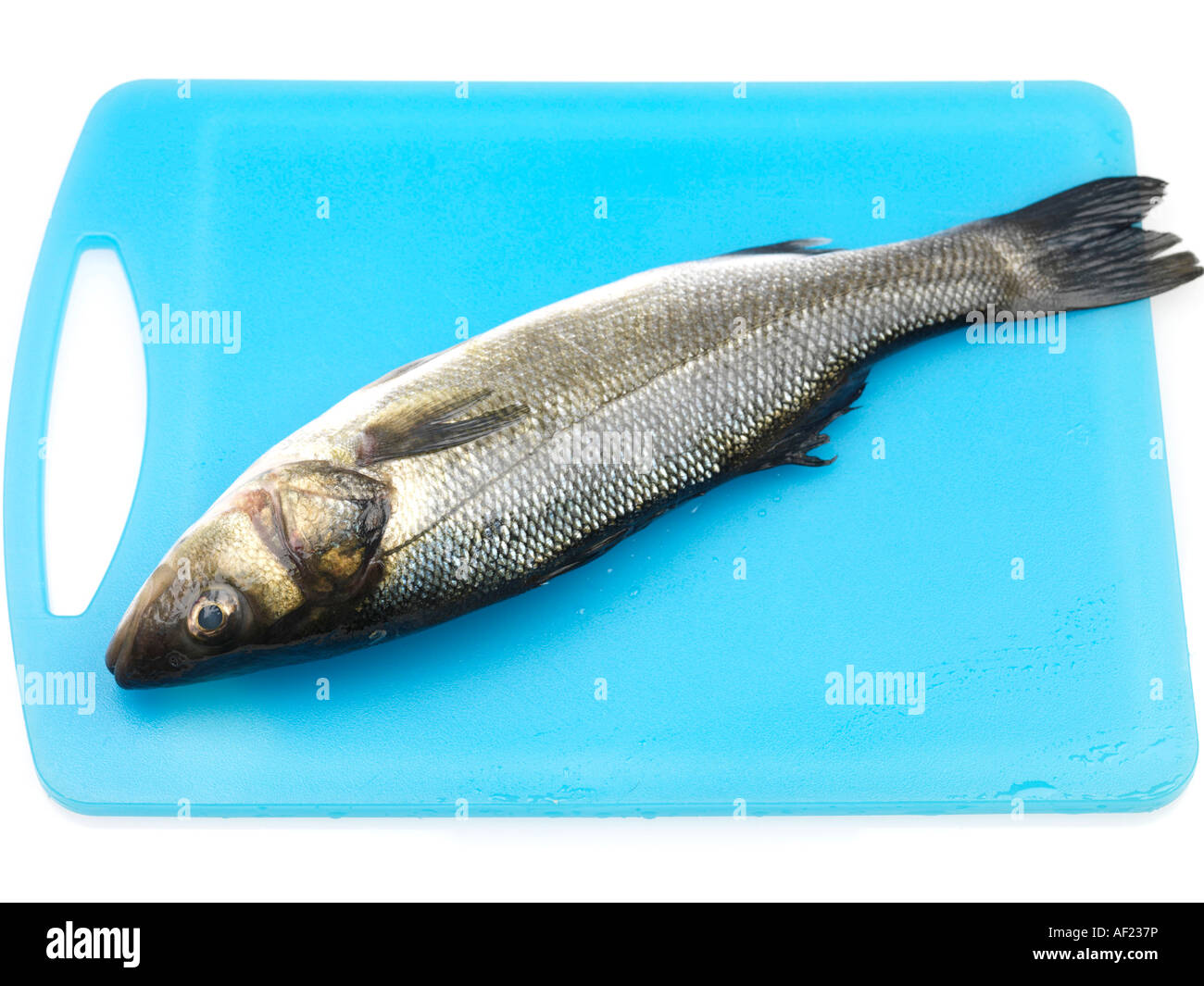 Sea bass hi-res stock photography and images - Alamy