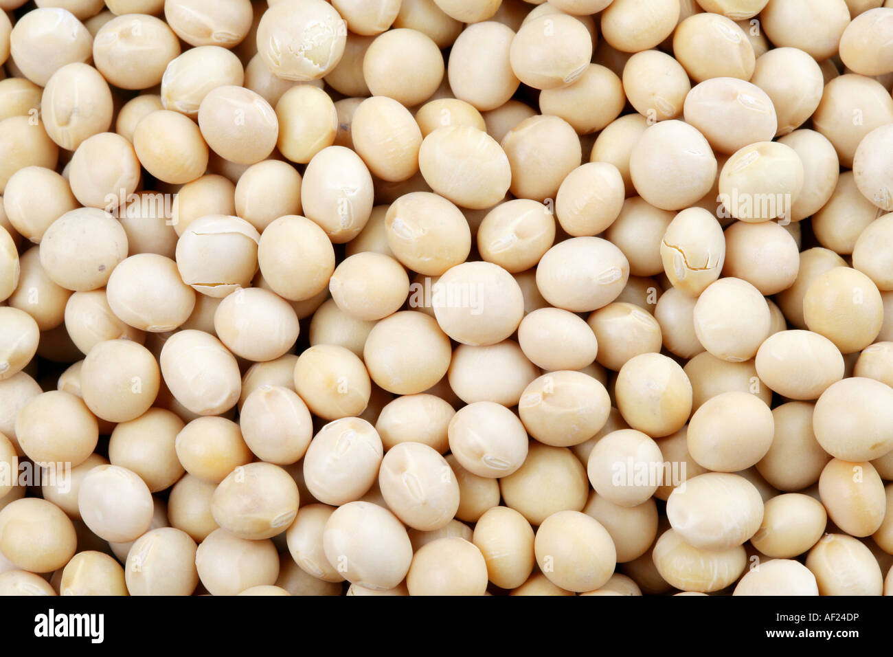 Soya beans pulse bowl hi-res stock photography and images - Alamy