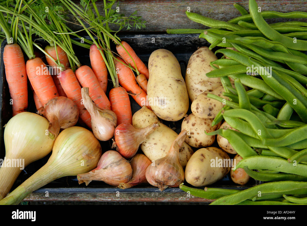 Fresh organic home grown garden vegetables Stock Photo - Alamy