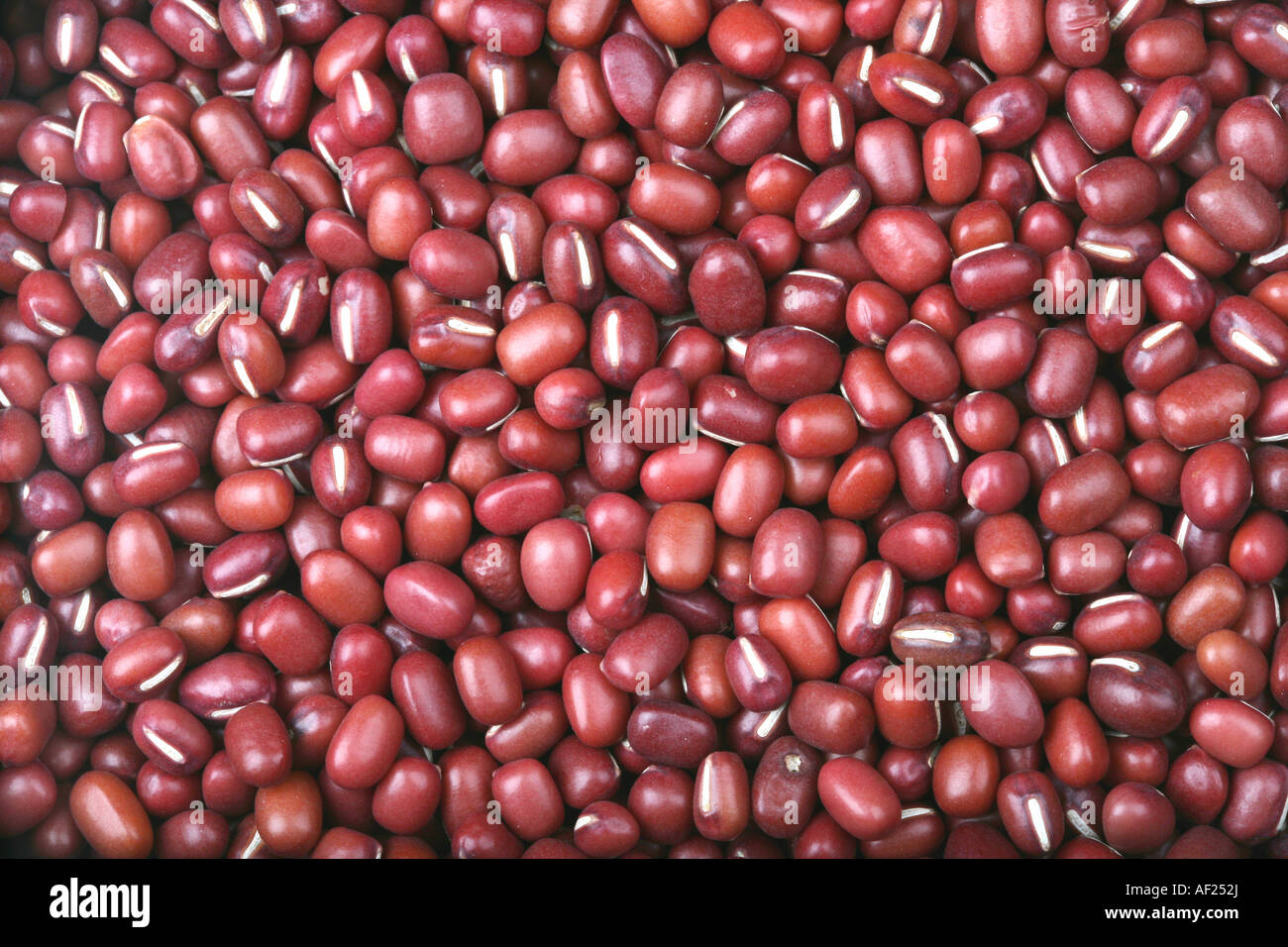 English red mung beans hi-res stock photography and images - Alamy