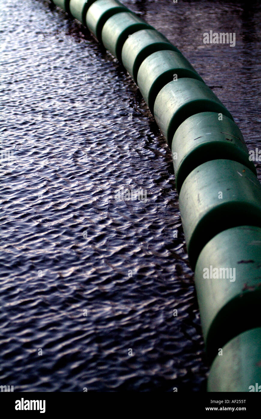 Weed Boom High Resolution Stock Photography and Images - Alamy