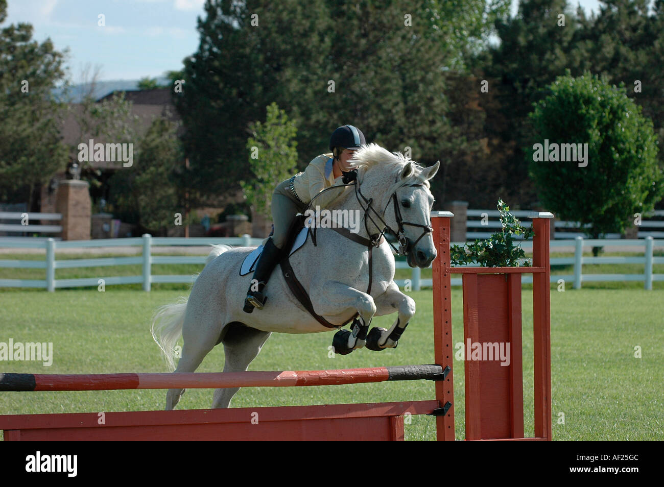 Hunting horse jumping hi-res stock photography and images - Alamy