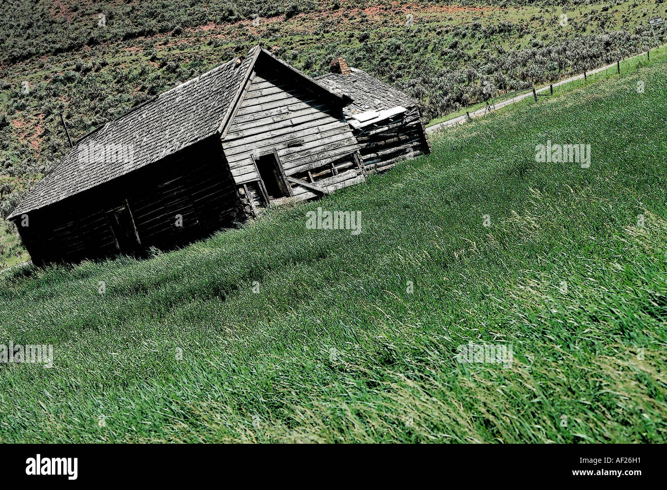 old shack in a field of tall grass with sage covered foothils in the ...