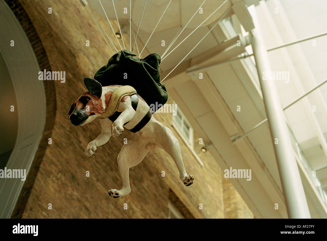 Parachuting dog hi-res stock photography and images - Alamy