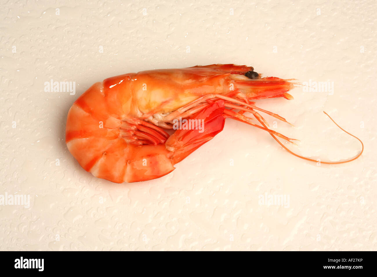 Nutrition of prawn hi-res stock photography and images - Alamy