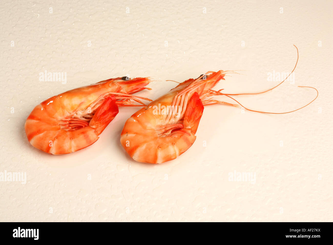 Two prawns hi-res stock photography and images - Alamy