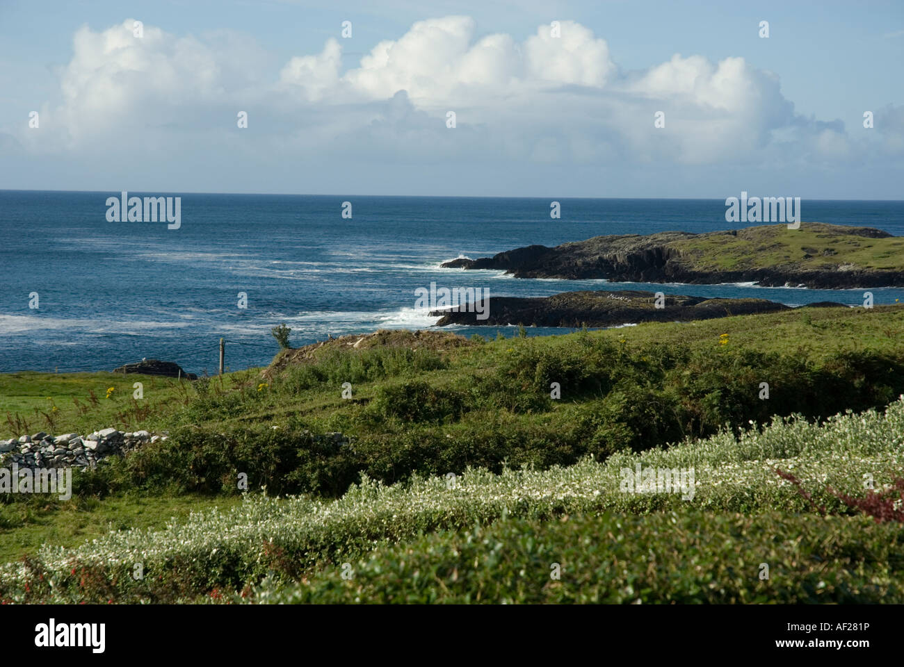 landscape on a sunny summer day in Ireland showing green fields and sea ...