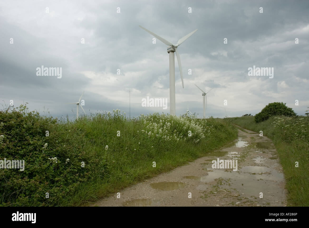 road leading to wind farm with turbines in background Stock Photo - Alamy