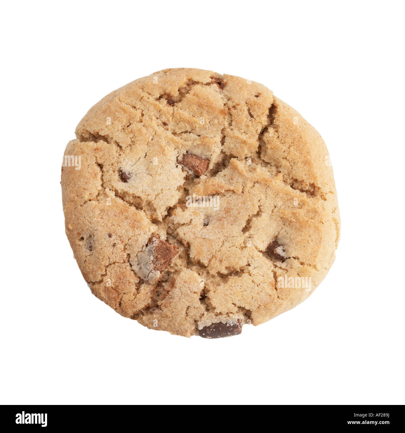 Chocolate chip cookie Stock Photo - Alamy