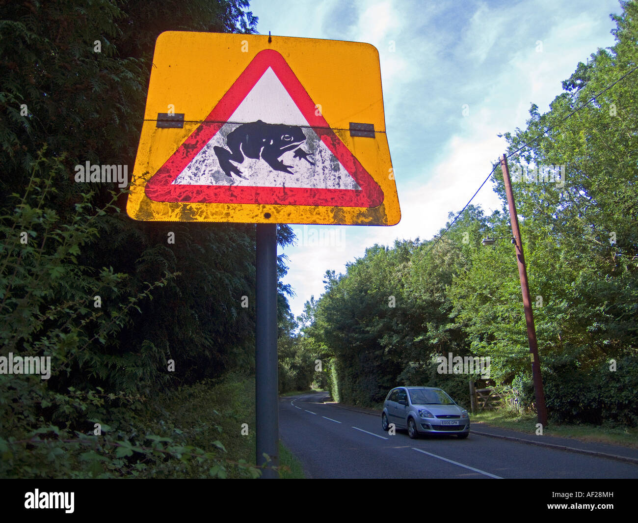 Toad Crossing Road Sign Wildlife High Resolution Stock Photography and ...