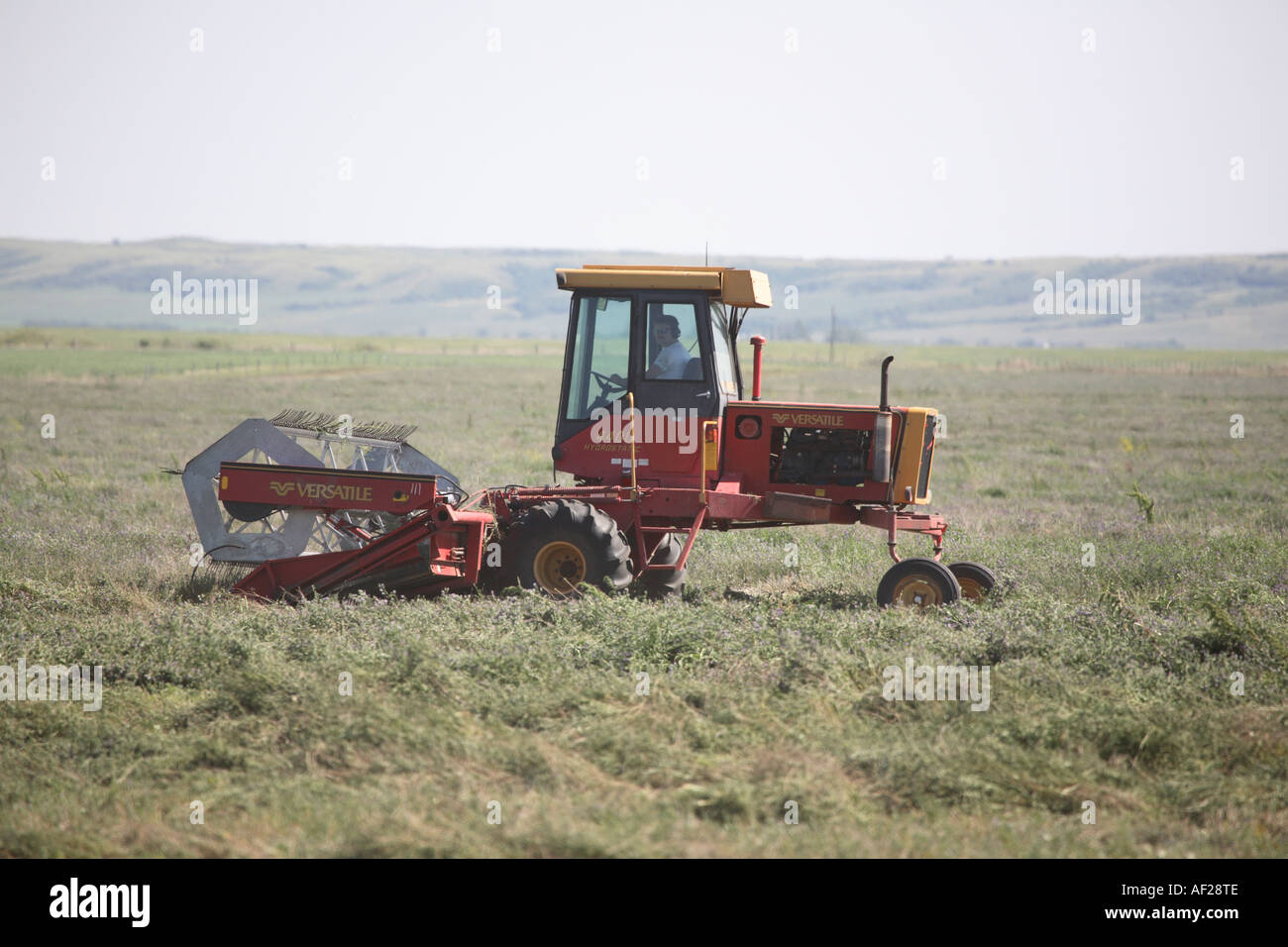 Swathing hay hi-res stock photography and images - Alamy