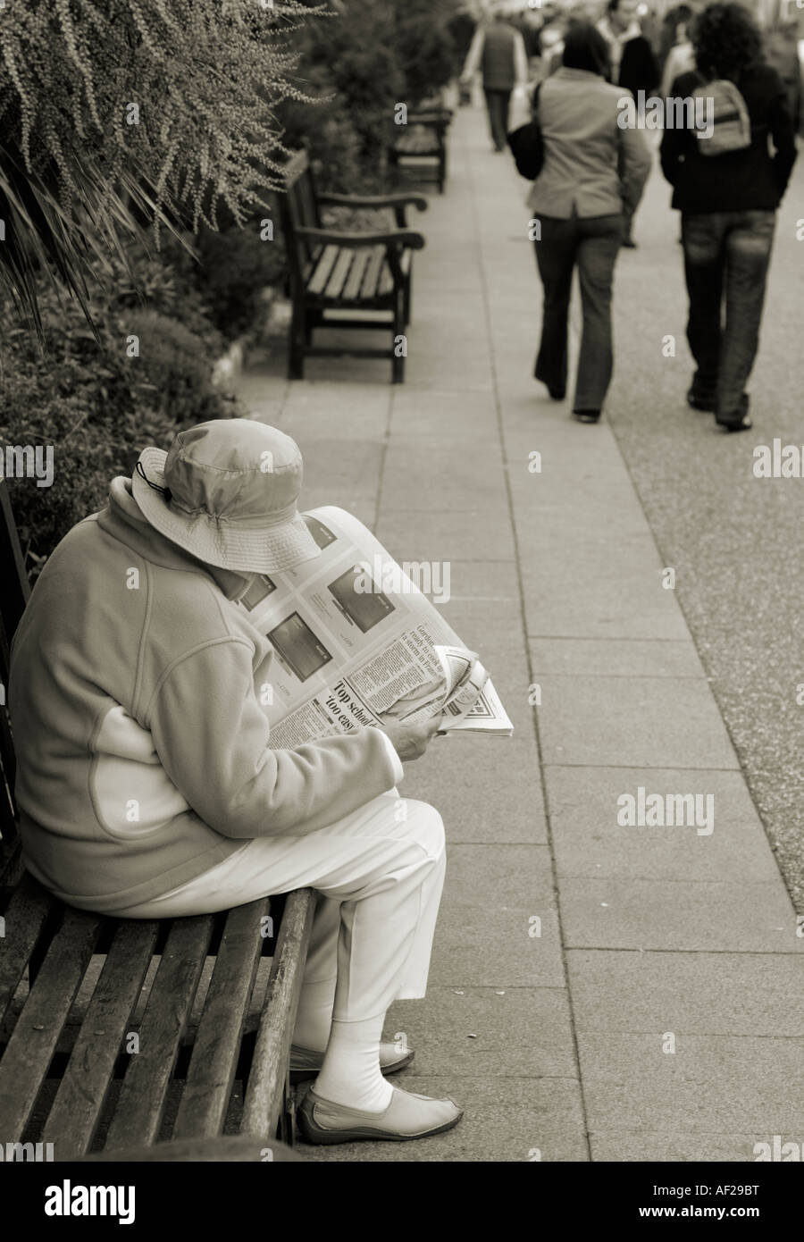 Elderly lady reading a newspaper on Eastbourne seafront promenade Stock ...