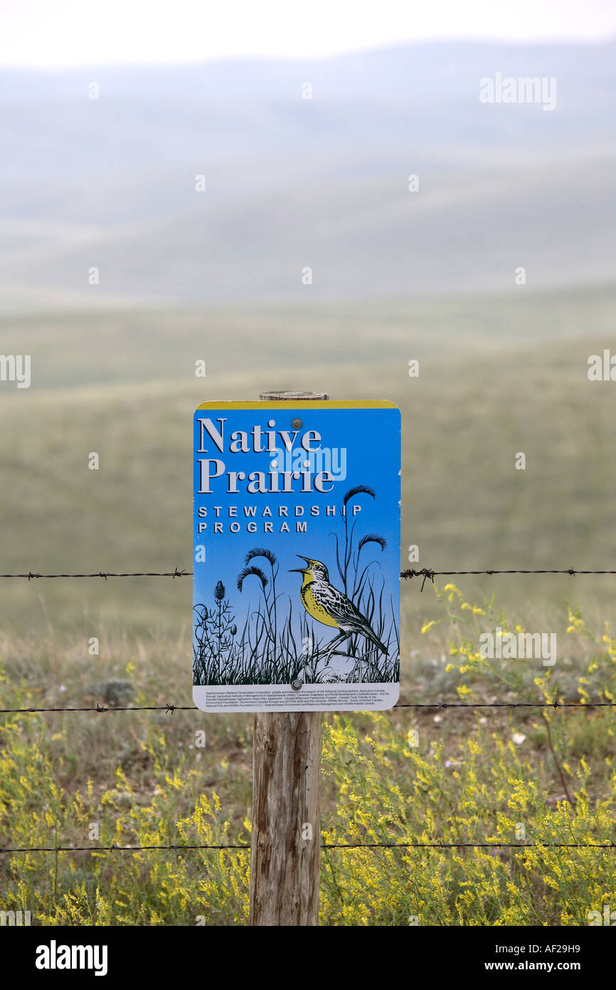 Native prairie hi-res stock photography and images - Alamy