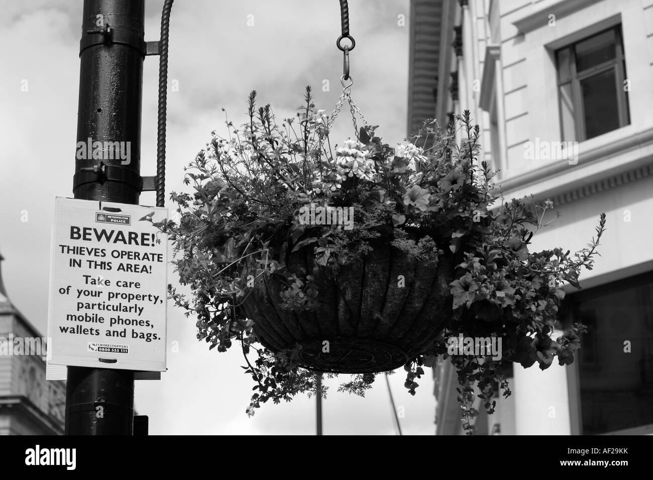 Street thief warning sign and hanging flower basket in central London ...