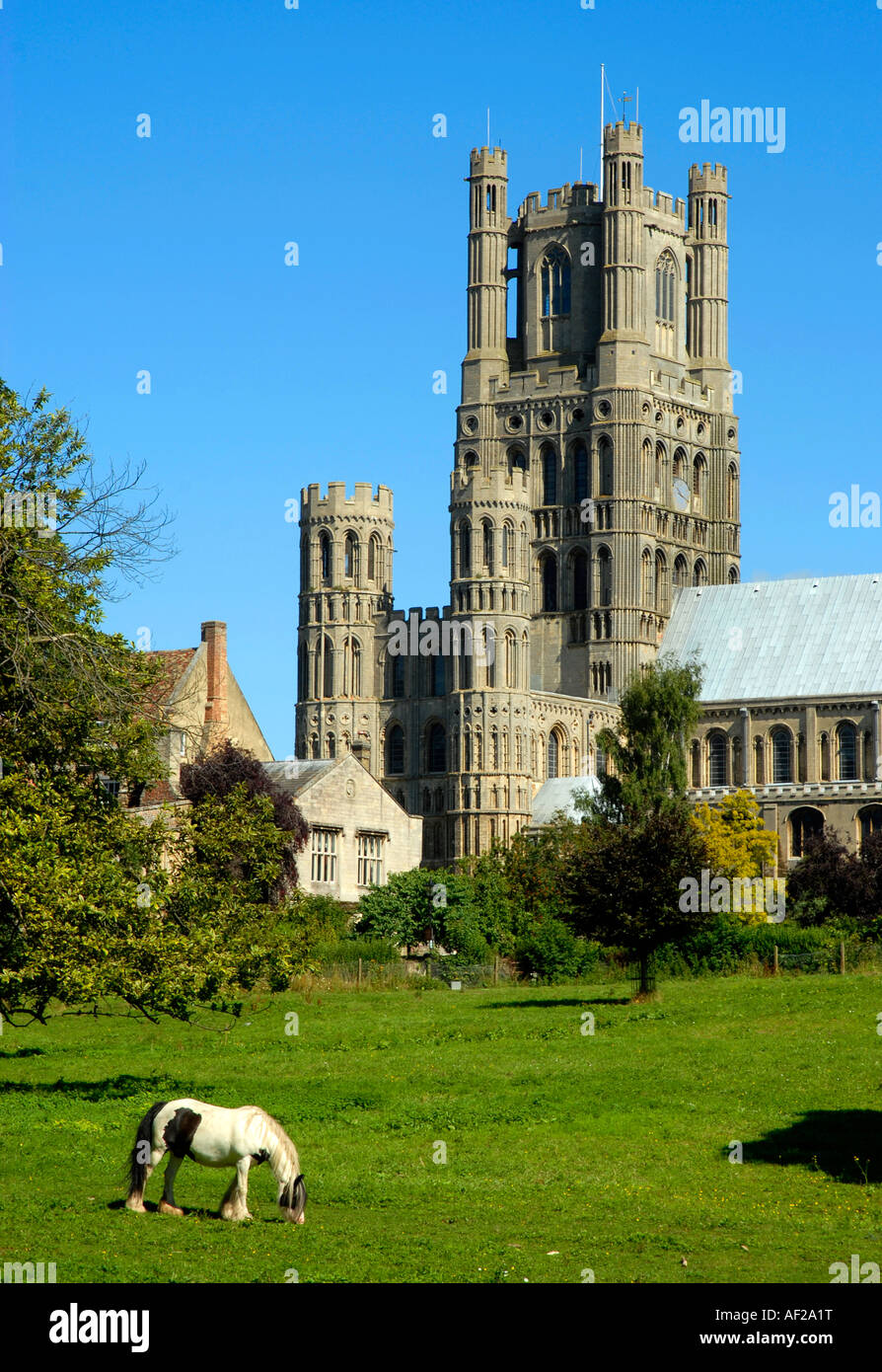 Ely Cathedral, Ely, Cambridgeshire, Britain, UK Stock Photo - Alamy