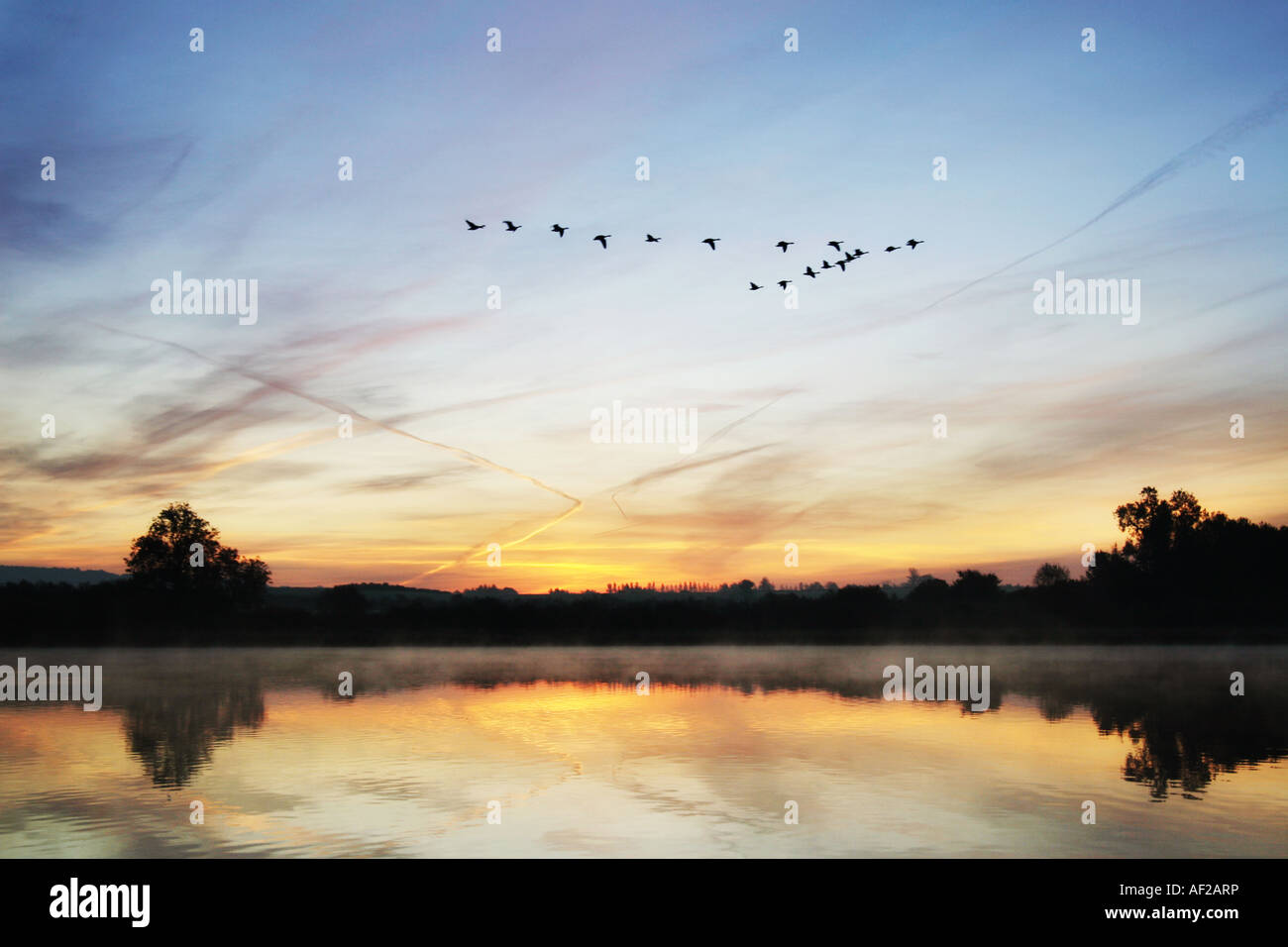 canada geese flying in formation over a lake Stock Photo - Alamy