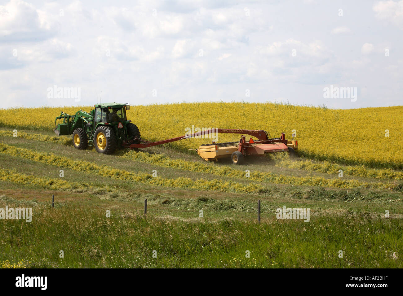 Swathing canola hi-res stock photography and images - Alamy