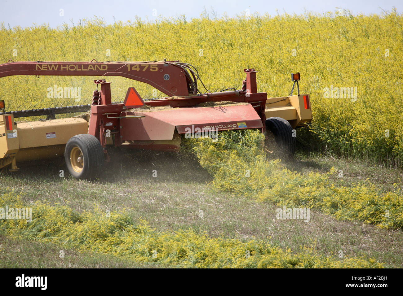 Swathing canola hi-res stock photography and images - Alamy