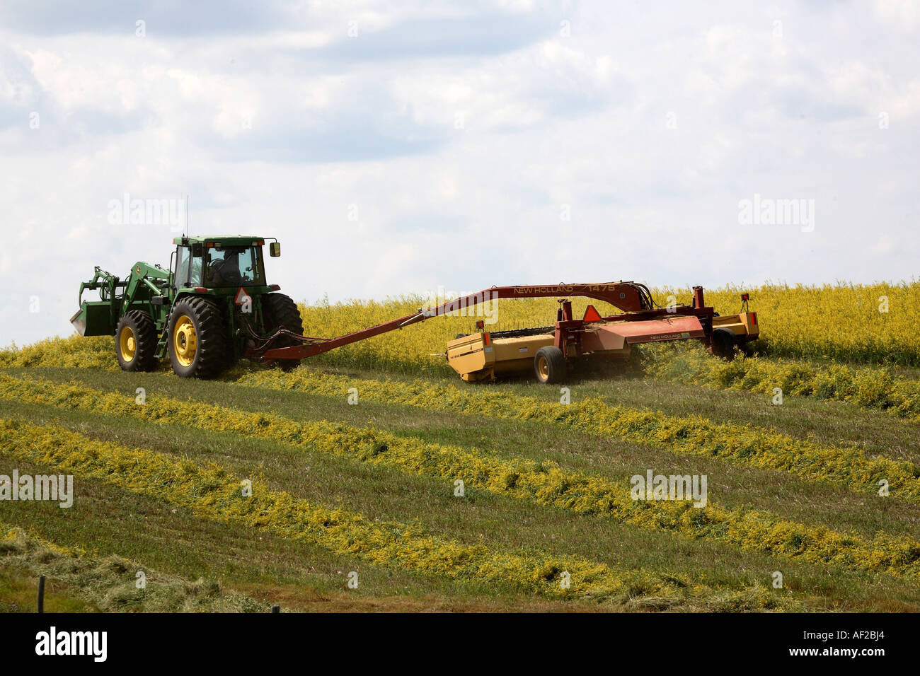 Swathing canola hi-res stock photography and images - Alamy