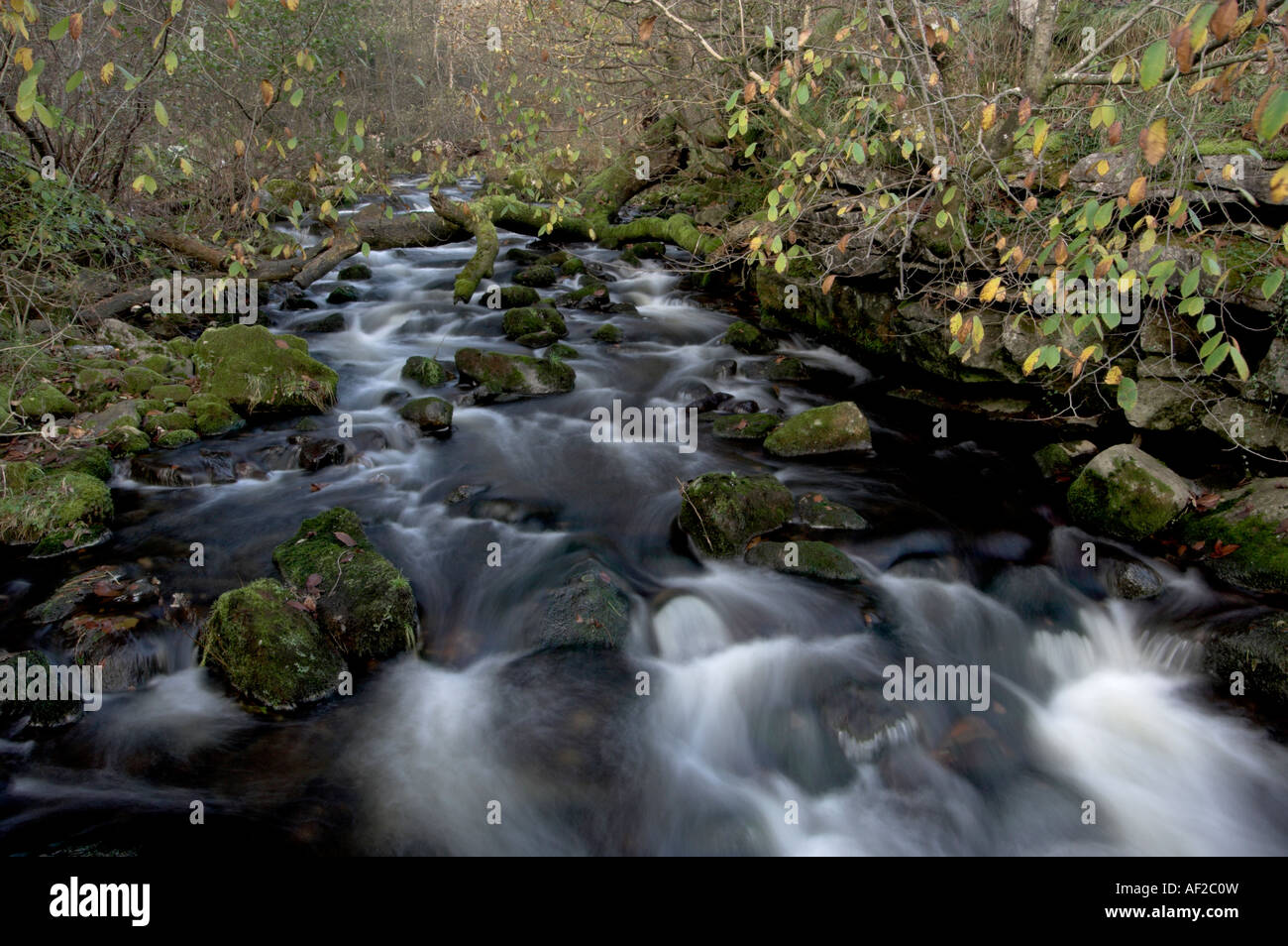 Taf river powys wales autumn hi-res stock photography and images - Alamy