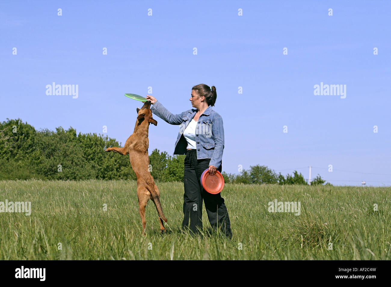 Throwing frisbee silhouette hi-res stock photography and images - Alamy