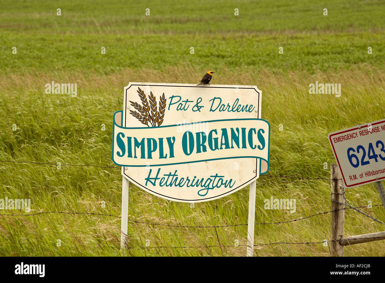 Country sign in scenic Saskatchewan Canada Stock Photo - Alamy