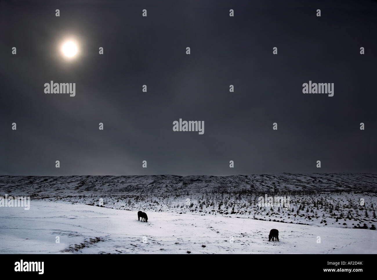 Weak sun hi-res stock photography and images - Alamy