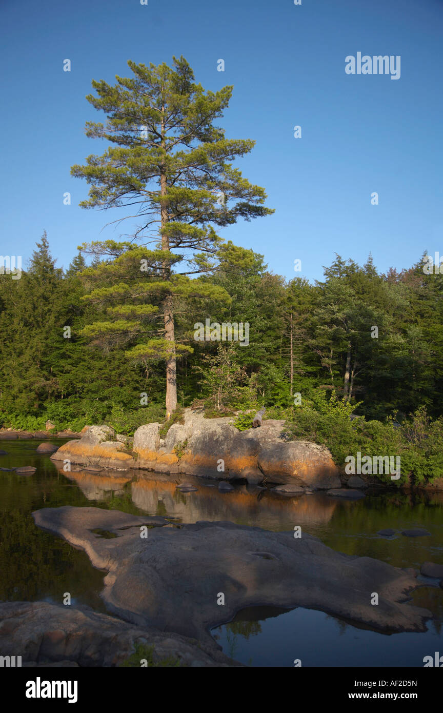 Moose River in the Adirondack Mountains of New York State Stock Photo ...