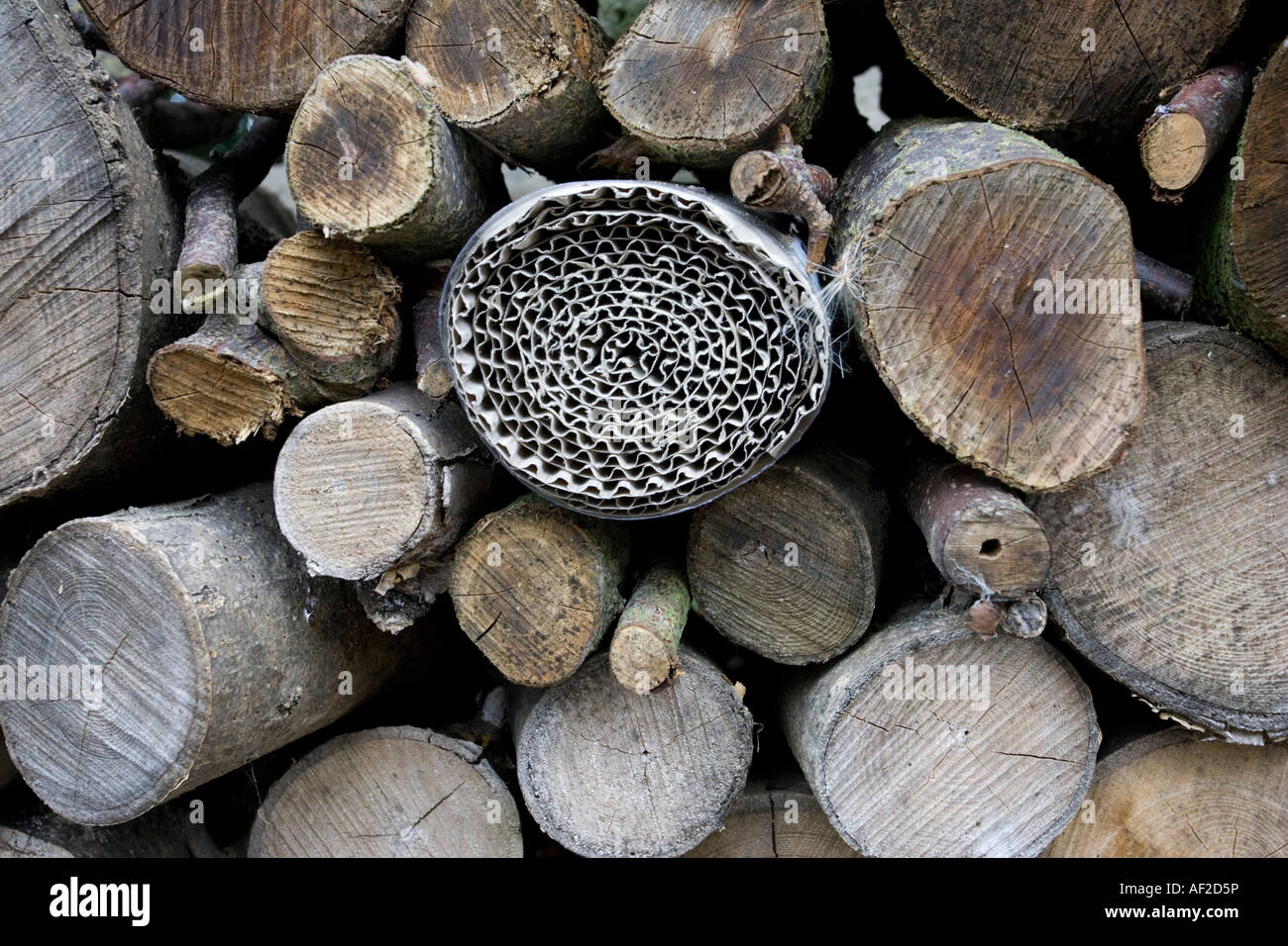 Log Pile Bug High Resolution Stock Photography and Images - Alamy