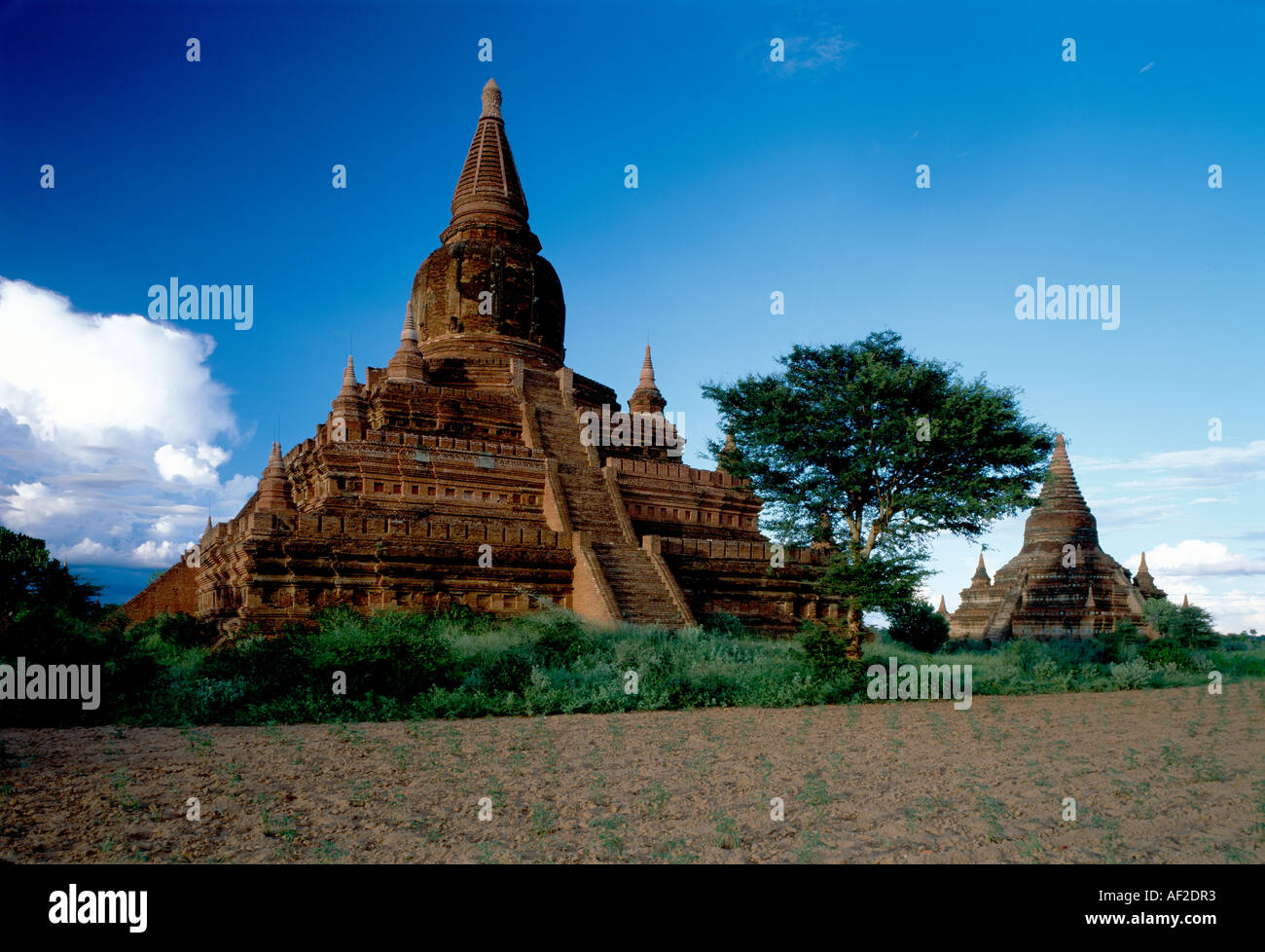 The Forgotten Temples of Pagan, north of Myanmar, Burma. Large stupas ...
