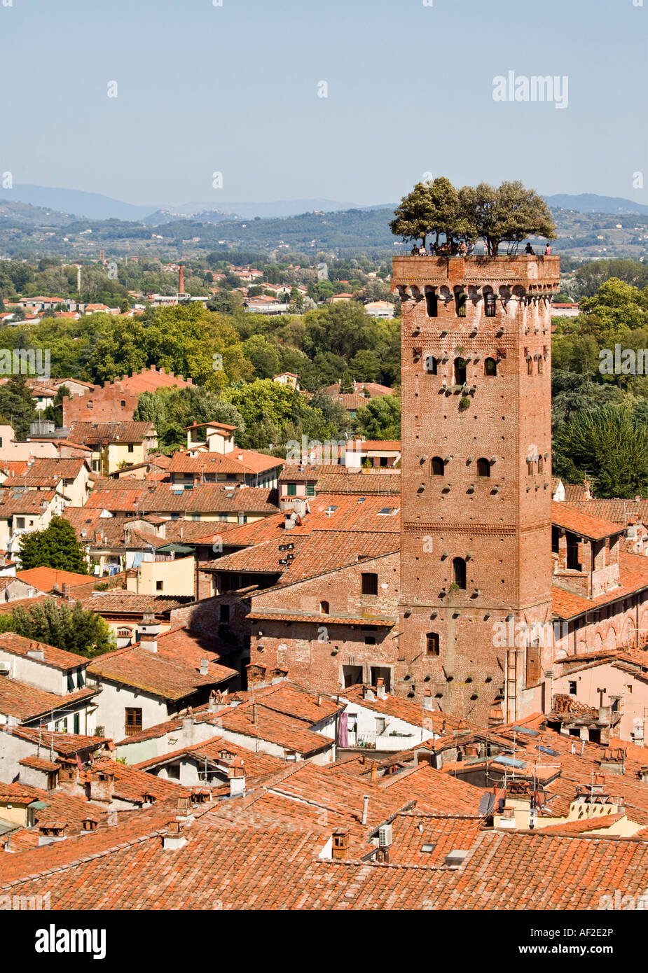 Torre dei Guinigi standing tall against the skyline of Lucca, Tuscany ...