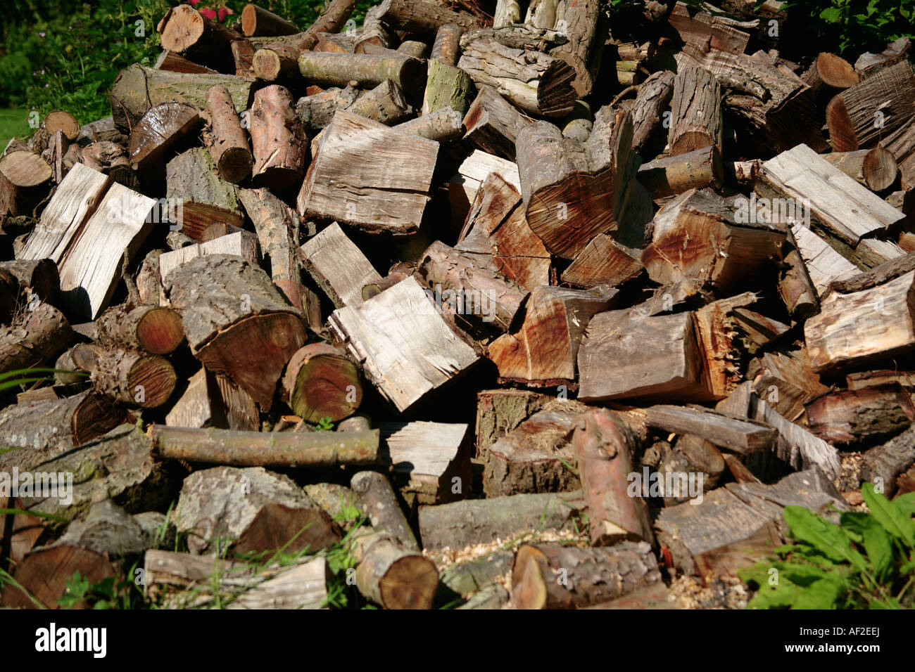 Pile of logs in garden ready for storage Stock Photo - Alamy
