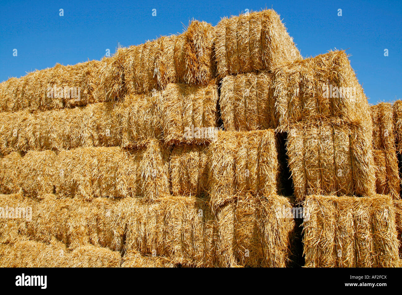 Many stacked straw bales hi-res stock photography and images - Alamy