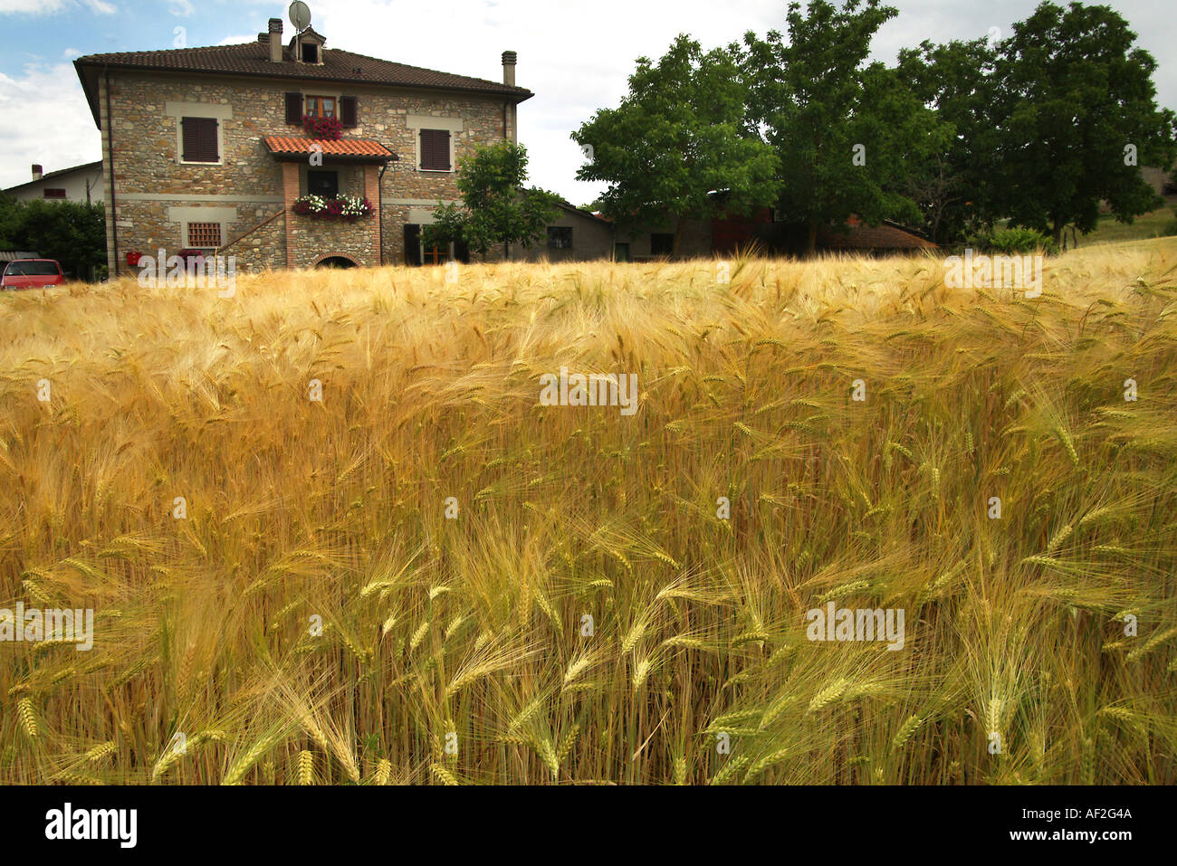 Durum house hi-res stock photography and images - Alamy