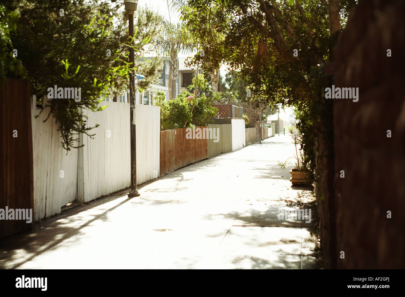 Street Alleyway Venice Beach, Los Angeles County, California, USA Stock ...